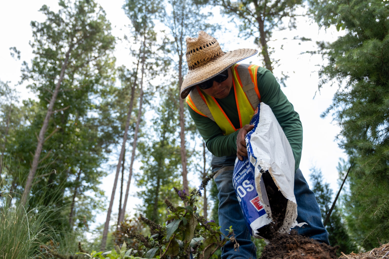 LMN Professional: Software For Mid-Sized Landscaping Crews | LMN by Granum
