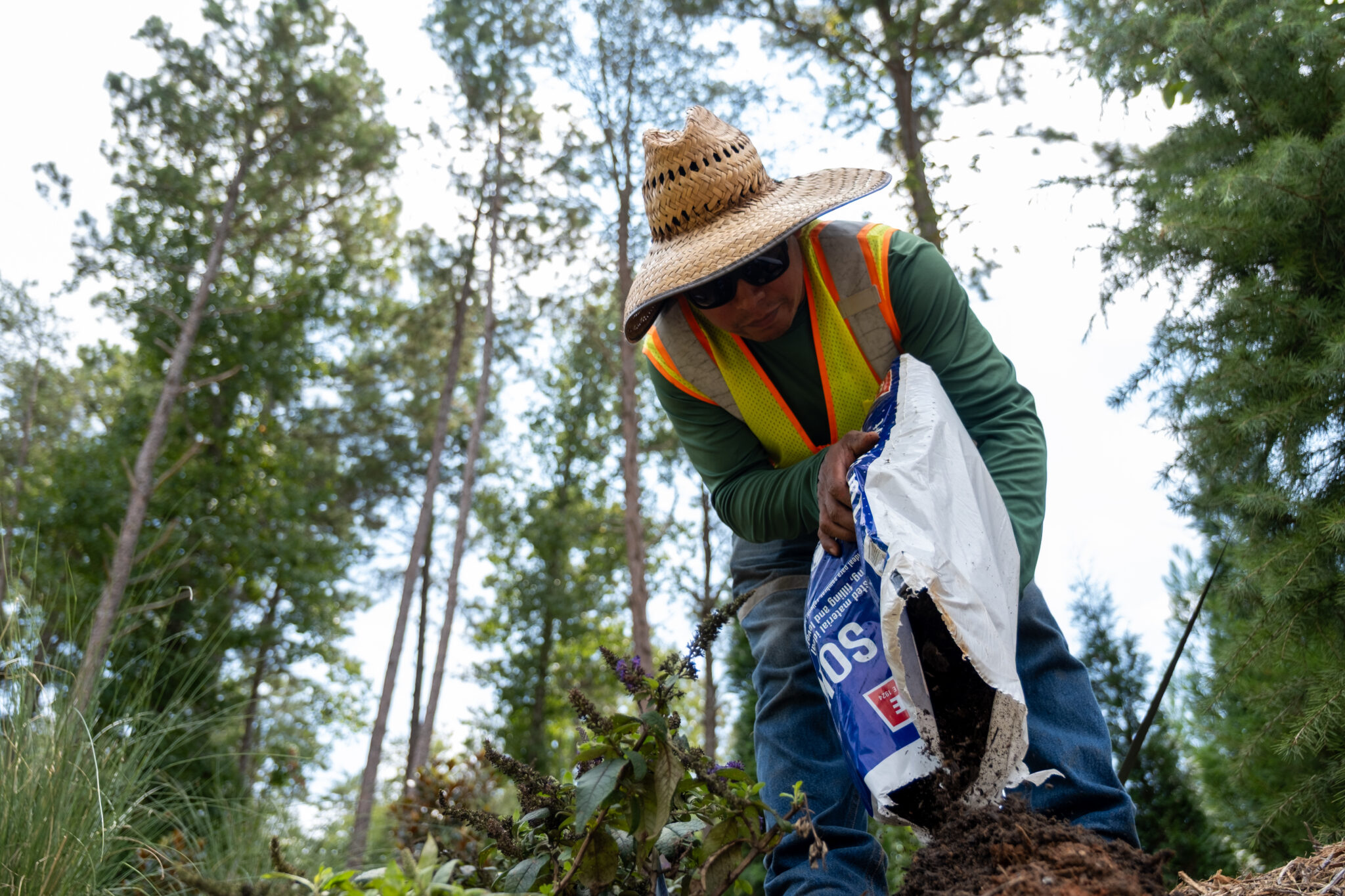 LMN Professional: Software For Mid-Sized Landscaping Crews | LMN by Granum